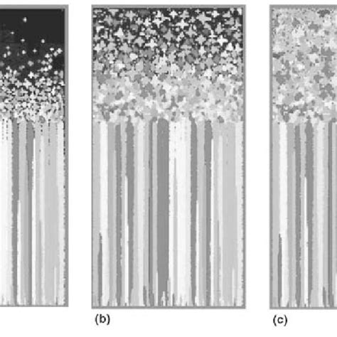 Simulated Microstructure A Columnar Cellular Dendritic Morphology