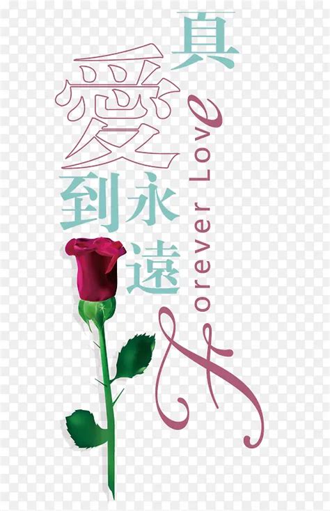 真爱素材PNG图片素材下载 图片编号10867911 PNG素材网
