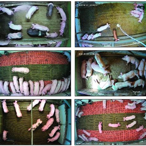 Example Of Images Used For Development Of The Detection Algorithms In