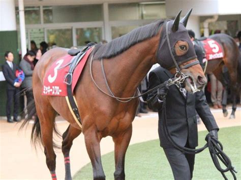 【有馬記念】ミッキースワローは調整順調馬三郎のつぶやき 競馬ニュース