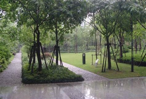 杭州第十三中学图册360百科