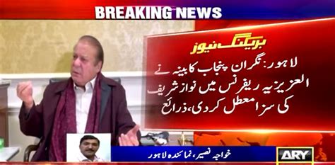 Nawaz Sharifs Sentence In Al Azizia Suspended By Punjab Govt