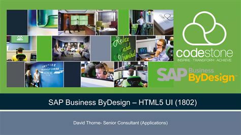 sap business bydesign html 5 ui ppt