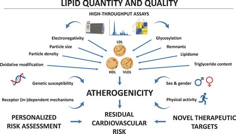 Lipids And Their Modifications Contribute Importantly To The