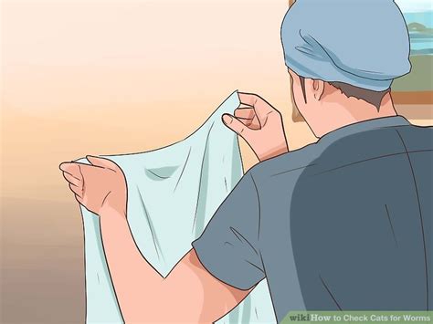 How To Check Cats For Worms 13 Steps With Pictures Wikihow