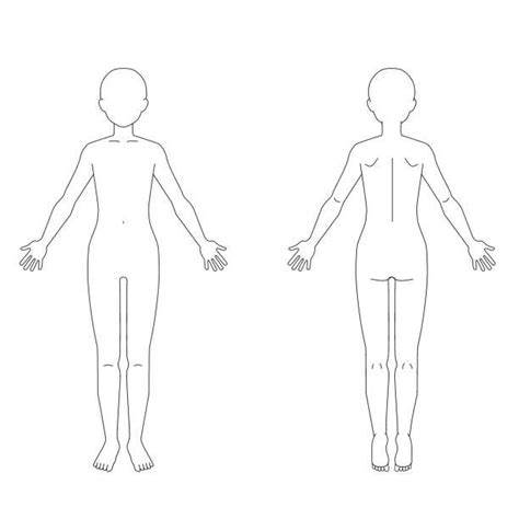 91164 Human Body Outline Front And Back Drawing Illustrations And Clip