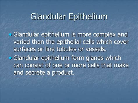 Ppt Glandular Epithelium Powerpoint Presentation Free Download Id