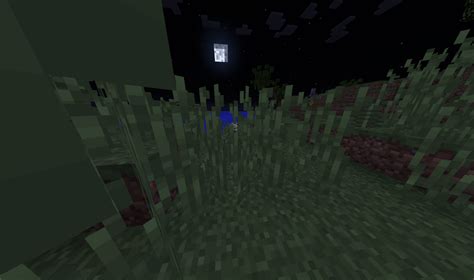 Trawa Ujednoznacznienie Minecraft Wiki Polska