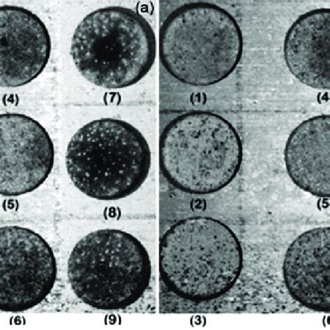 Machining Of Mmcs By Means Of A Edm And B Edd Download Scientific Diagram
