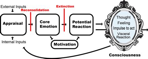 Points Of Intervention Mediated By Memory Reconsolidation And Extinction Download Scientific
