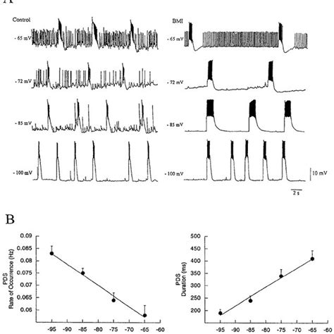 E Ff Ects Of Membrane Potential Shifts On Spontaneous Epileptiform Download Scientific Diagram