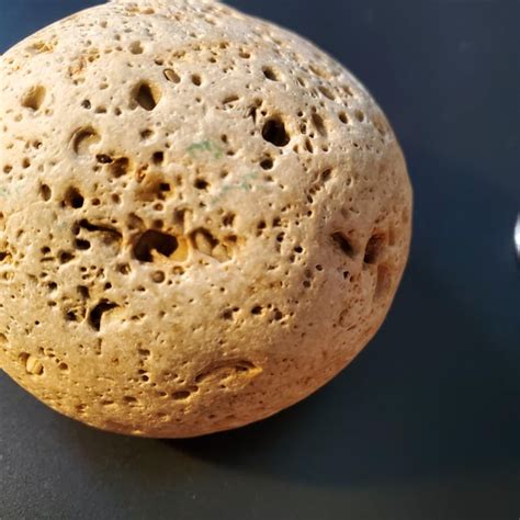 Weird Fossils Or Just Weird Rock R Fossilid