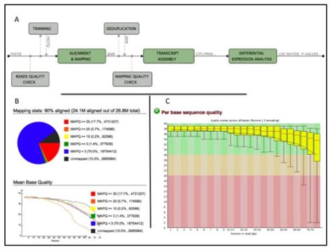 Rna Rocket An Rna Seq Analysis Resource For Infectious Disease