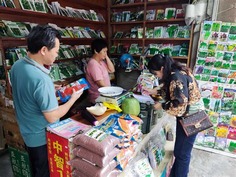 北海市种子管理站开展夏季农作物种子市场运行调查北海广西壮族自治区农业农村厅