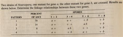 solved problems module 3 part 2 atamian lab