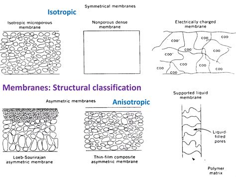 Membraneseparationspptx