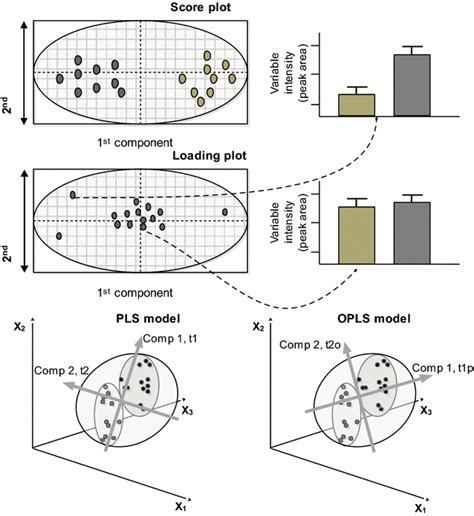 Geometrical Illustrations Of Multivariate Statistical Analyses The Download Scientific Diagram