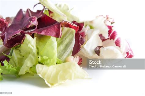 흰색 배경 선택적 포커스 격리 샐러드 Radicchio 그리고 녹색 양상추와와 제어 부분 건강한 생활방식에 대한 스톡 사진 및