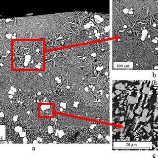 SEM Image Of The Microstructure Of NiCrBSi WC Sample With A Ratio Of Download Scientific