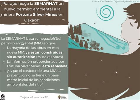 ¿por Qué Niega La Semarnat Un Nuevo Permiso Ambiental A La Minera