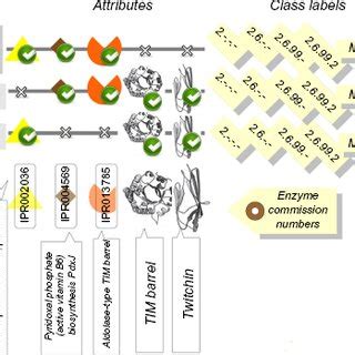 Illustration Of The Data Attributes And Labels Used In This Work The Download Scientific