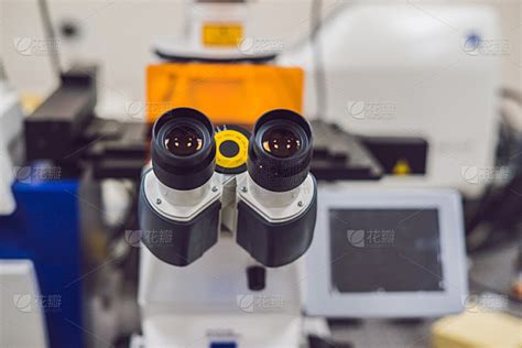 生物样品的共聚焦光学激光扫描显微镜