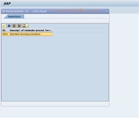 FOCP RADJ DUNMOD VAL SAP Tcode Corr Differ Char Rent Adj Dun