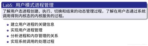 清华大学操作系统课程实验 清华大学操作系统课程设计评分细则 csdn博客