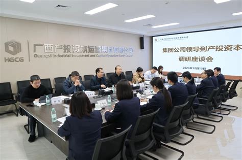 首页 广西产投资本运营集团有限公司