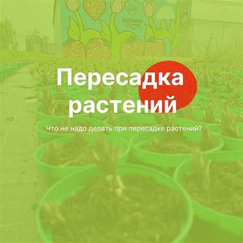 Агрохозяйство «Веревкин Хутор» | ВКонтакте