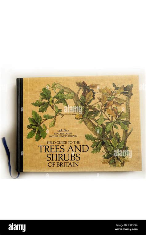 Readers Digest Field Guide To The Trees And Shrubs Of Britain Reader