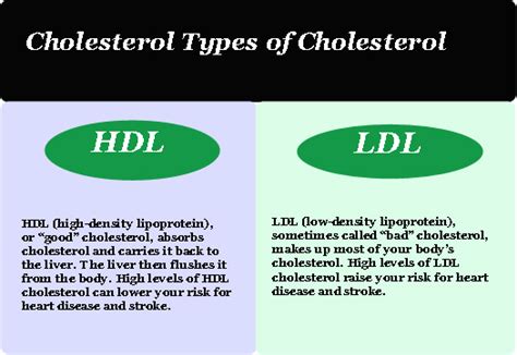 Cholesterol Types Of Cholesterol