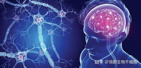 干细胞疗法，让10种重大疾病看到新希望 知乎