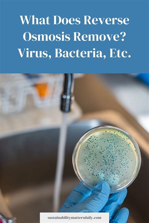 What Does Reverse Osmosis Remove Bacteria Minerals VOCs Etc SMD Com