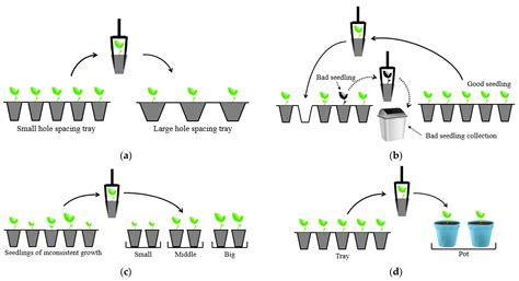 Agriculture Free Full Text Key Technologies Of Plug Tray Seedling Transplanters In Protected