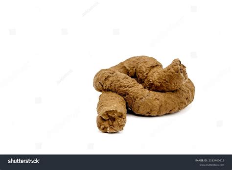 6845 Crotte De Chien Royalty Free Photos And Stock Images Shutterstock
