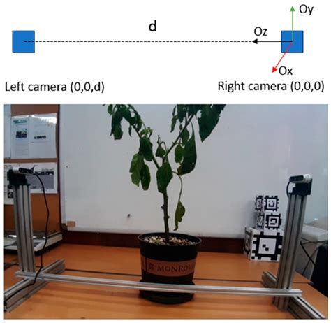 Agriengineering Free Full Text Sweet Pepper Leaf Area Estimation Using Semantic 3d Point