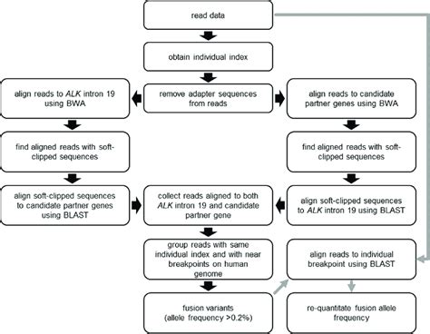 Flowchart Of Sequencing Data Analysis Black And Gray Arrows Denote