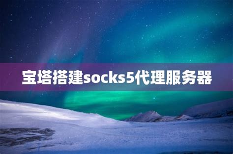 宝塔搭建socks5代理服务器ip代理网 宝塔搭建socks5代理服务器ip代理网