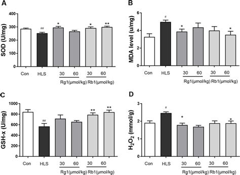 Frontiers Protective Effects Of Ginsenosides Rg1 And Rb1 Against