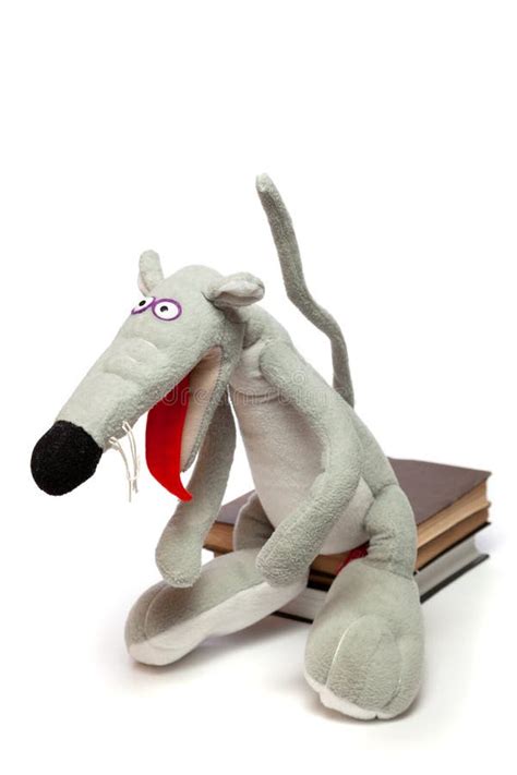 Soft Toy Of Gray Rat Sits On White Background Stock Image Image Of