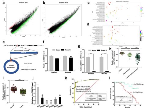 Circpsmc3 Expression Is Down Regulated In Clinical Gc Specimens And