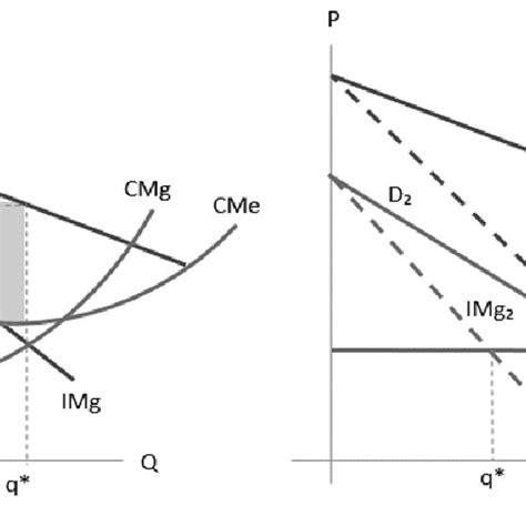 Production Decision Of An Oligopolistic Company The Section A The