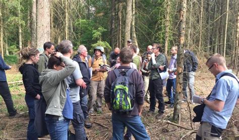 What Is The Functionality Of Iucn