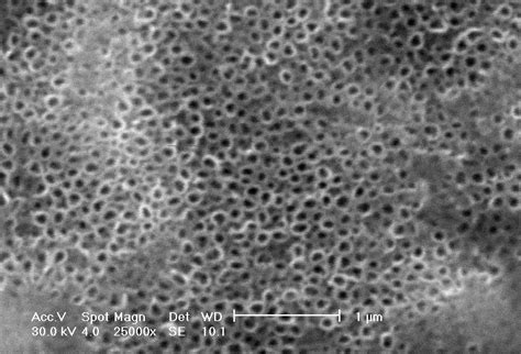 Sem Image Of Tio 2 Nanotube Obtained In Nh 4 F And Hf 05 In 50 H 2