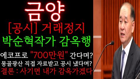 🔥금양 박순혁작가 똑같이 주가조작 한통속 🔴 10월30일 대폭락 대응 하셔야 됩니다 1년전 그는 모든걸 알고 있었다 금양 금양주가 금양전망 Youtube