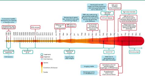 Figure 1 From Multiple Sclerosis Followed By Neuromyelitis Optica