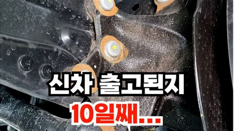 언더코팅 필요없다던 요즘차량 하체보면 깝깝해 스포티지 신형 Youtube