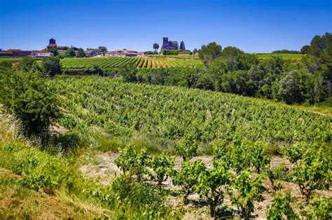 Residuos De Uva Que Se Convierten En Etiquetas De Vino