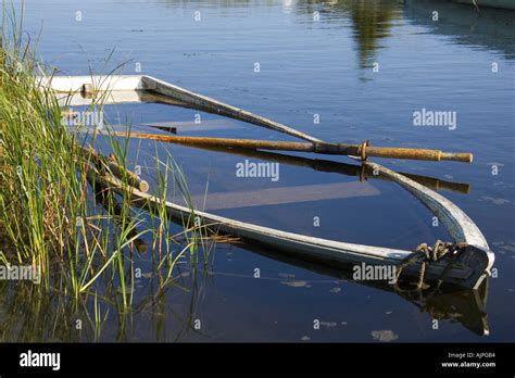 Sinking Rowboat Asesores